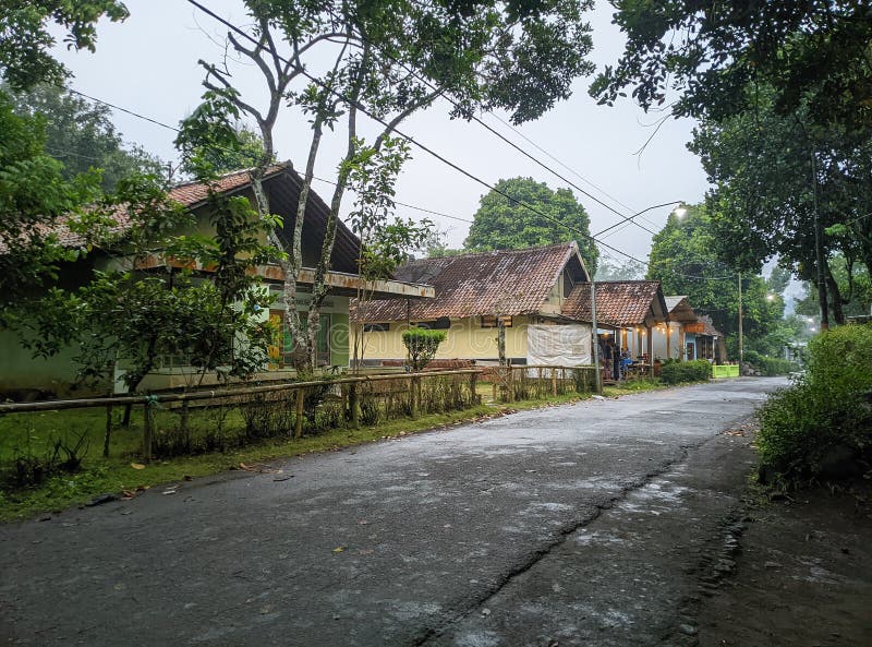 Row of Houses Located on the Side of the Road Stock Photo - Image of ...