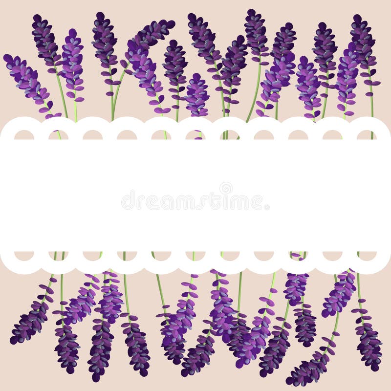 Row of Lavender Flowers Behind Frill Banner. Stock Vector ...