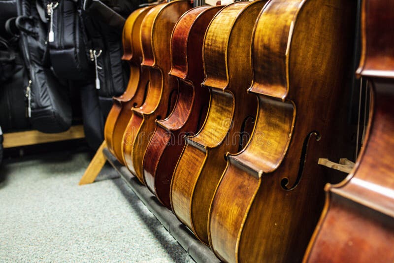 Row of Multiple Cellos Standing on the Floor at a Musician Workshop ...