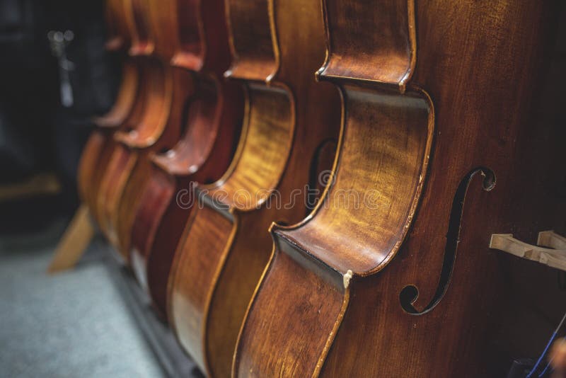 Row of Multiple Cellos Standing on the Floor at a Musician Workshop ...