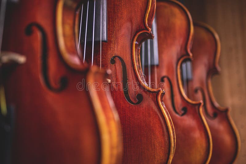 Row of Multiple Violins Hanging on the Wall, Musician Workshop Stock ...