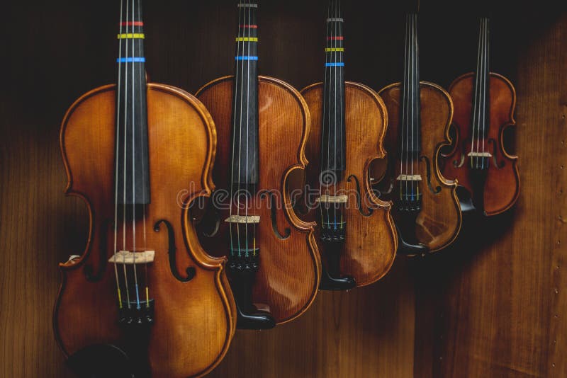 Row of Multiple Violins Hanging on the Wall, Musician Workshop Stock ...