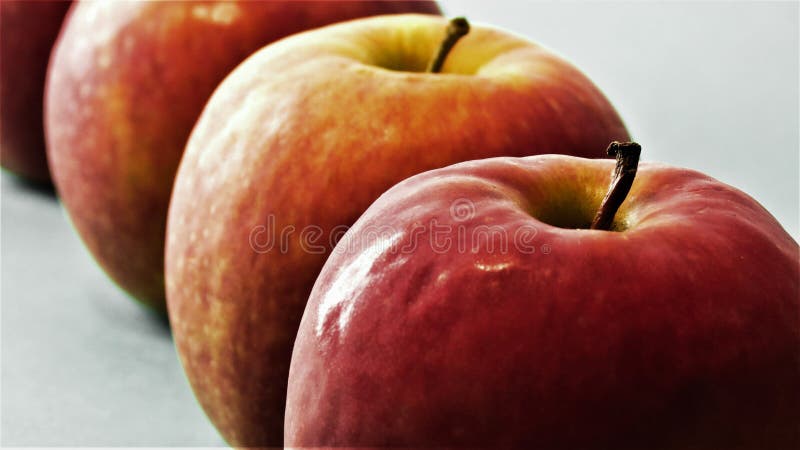 A row of nice apples stock photo. Image of eating, fresh - 90909632