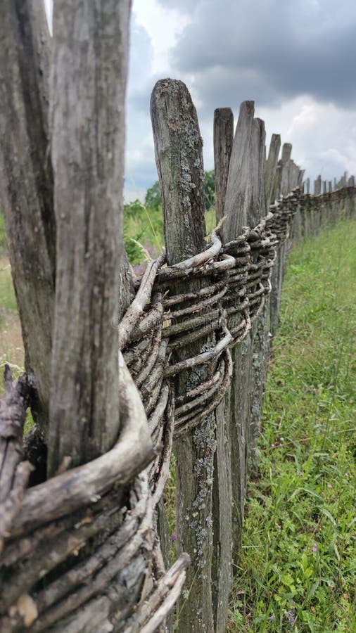 Row of Old Wooden Fence Posts on a Field,vertical Shot Stock ...