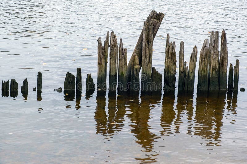 Row of Old Wooden Piles in the Water Stock Image - Image of banner ...