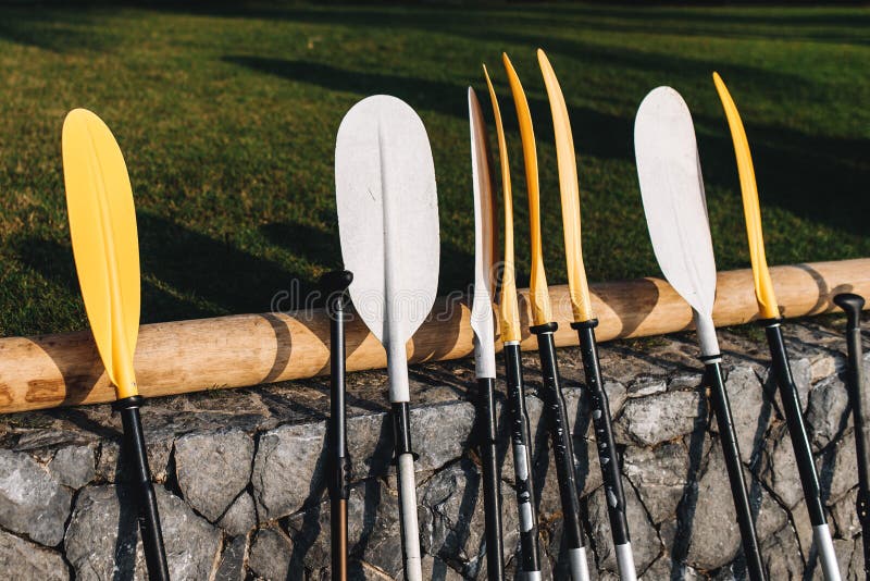 Rafting Paddles stock image. Image of yellow, sport, canoeing - 1177249