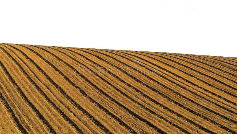 Row Pattern in Plowed Field Stock Photo - Image of farming, harvester ...