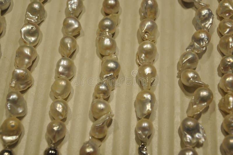 Row of Pearls Display in a Pearl Workshop from Beijing in China ...
