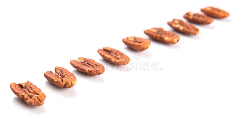 A Row of Pecan Nut VII stock photo. Image of food, isolated - 54624600