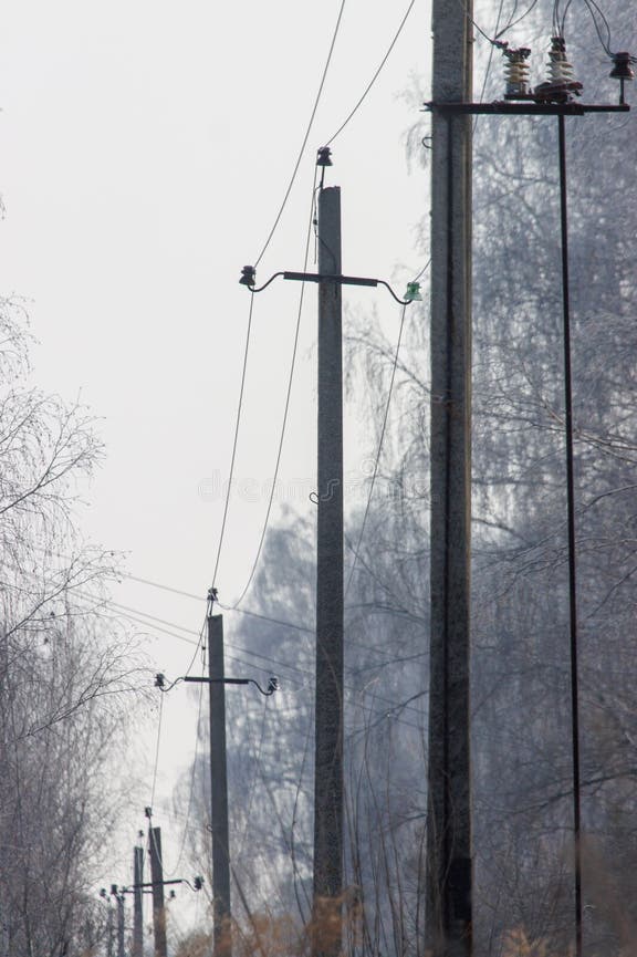 A Row of Power Lines are in the Woods Stock Image - Image of ...
