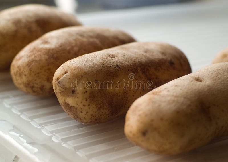 Row Raw Potatoes stock photo. Image of spud, baking, bake - 5569978