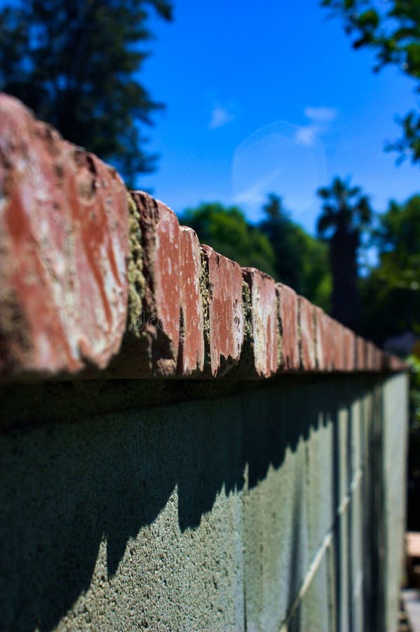 Row of Red Bricks on a Wall Stock Photo - Image of plants, concrete ...