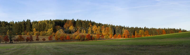 Row of the red maples stock photo. Image of park, yellow - 80025076