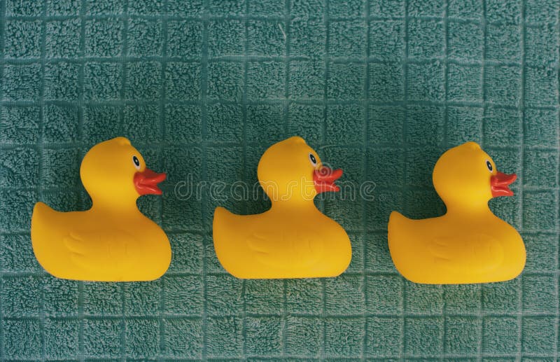 Row of rubber ducks stock photo. Image of wash, five - 72839162