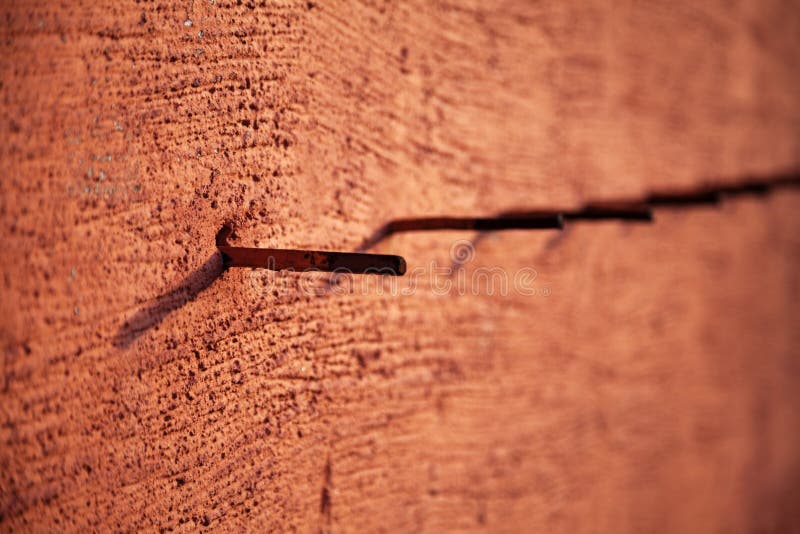 A Row of Rusty Sticks and Nails that are Stuck Stock Image - Image of ...