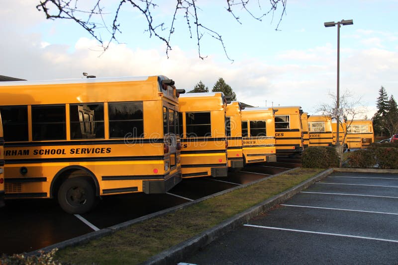 Row of school buses stock image. Image of public, commute - 37986257