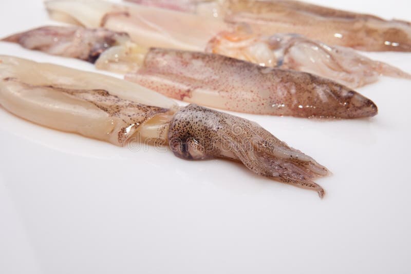 Row of Small Freshly Squids Stock Image - Image of detail, tentacle ...