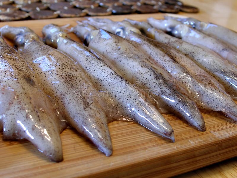 Row of Squid on Chopping Board Stock Image - Image of board, cooking ...