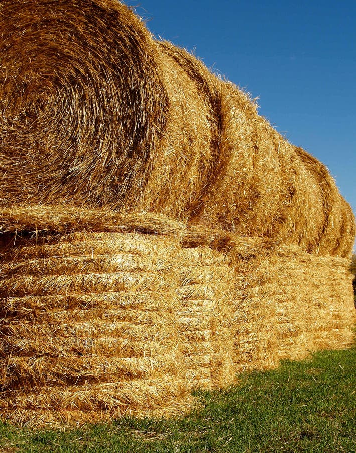 A Row of Stacked Round Bales Stock Photo - Image of bale, manitoba: 1390132