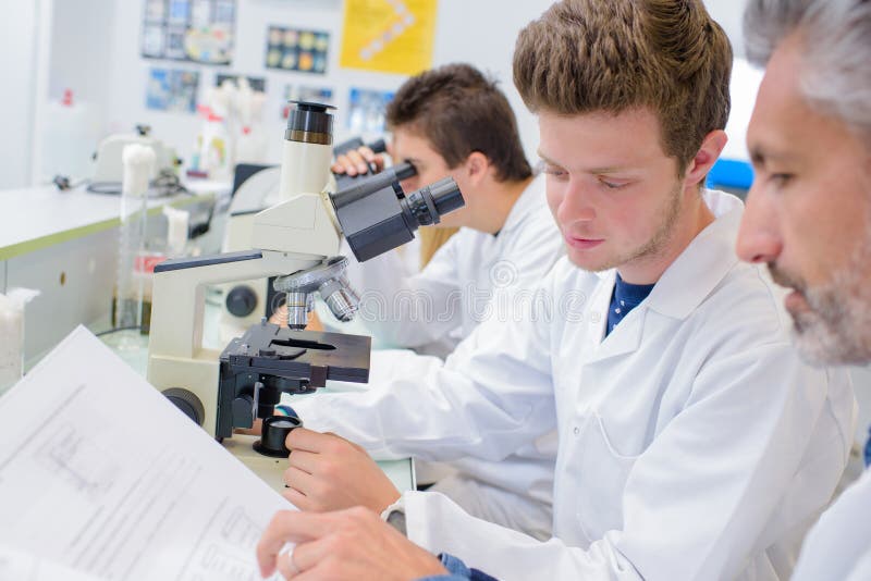 Row Students in Science Lesson Stock Image - Image of coat, biology ...