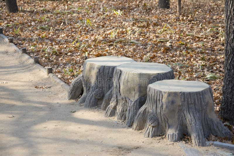A row of stumps stock image. Image of stump, details - 83470855