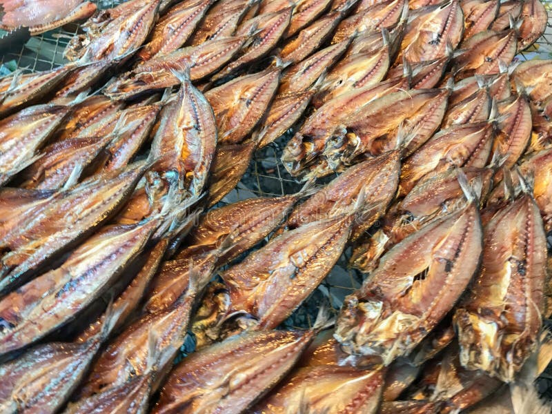 Row Sun-dried salted fish stock photo. Image of healthy - 112209454