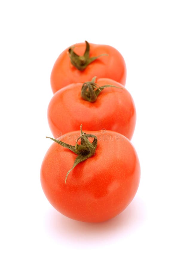 Row of tomato stock photo. Image of cooking, nature, juicy - 9136414