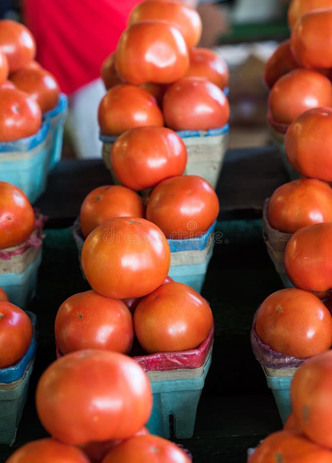 Row of tomato baskets stock photo. Image of natural - 101700056