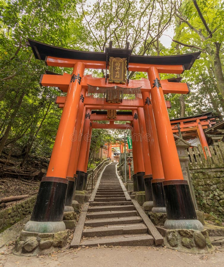 Row of Torii Gates in Kyoto Stock Photo - Image of tradition, path ...
