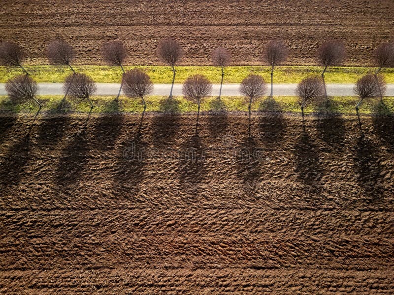 Dirt Path To Staircase Runs Along the Braies Lake Under a Cloudy Sky ...