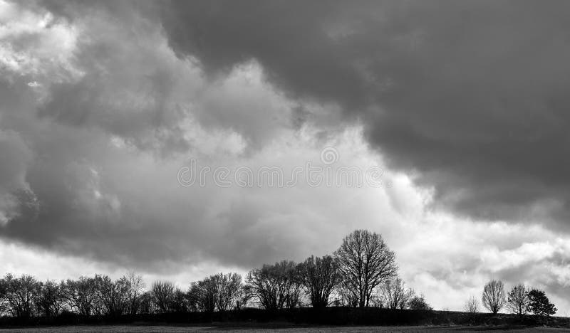 Row of Trees with Dramatic Overcast Sky and Storm Clouds Stock Image ...