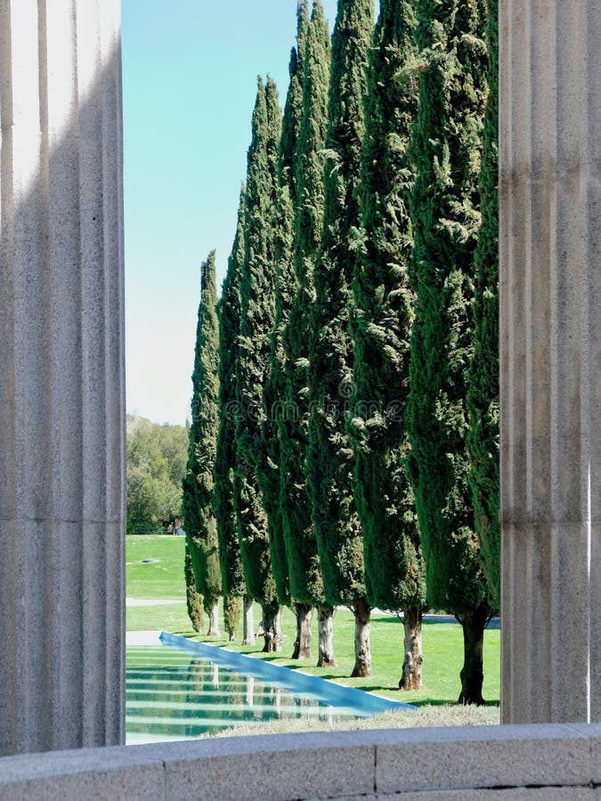 Row of Trees on a Grassy Field between Columns. Stock Image - Image of ...