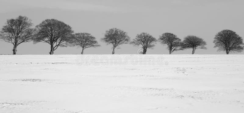 Snowy winter in Devon stock photo. Image of landscape - 132864490