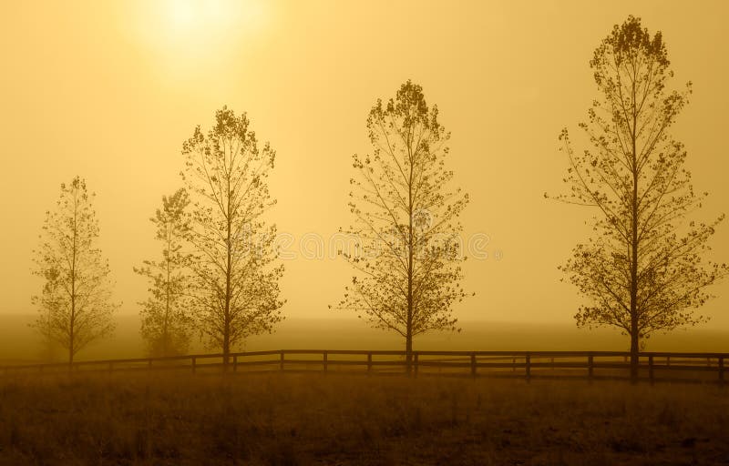Morning haze stock photo. Image of foggy, scenic, mountain - 74995884