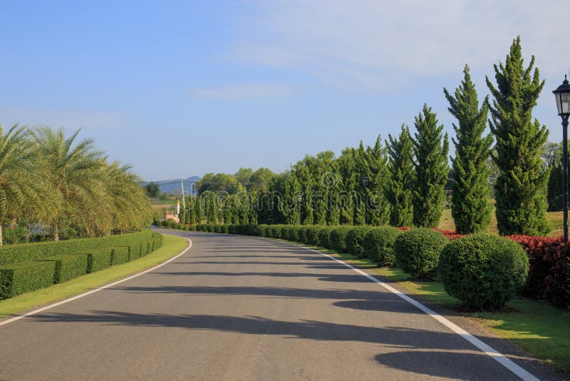 Row of Trees with road. stock photo. Image of colour - 47885488