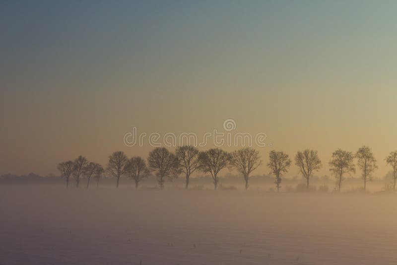 Beautiful Winter Landscape at Sunset with Snow and Fog Stock Image ...