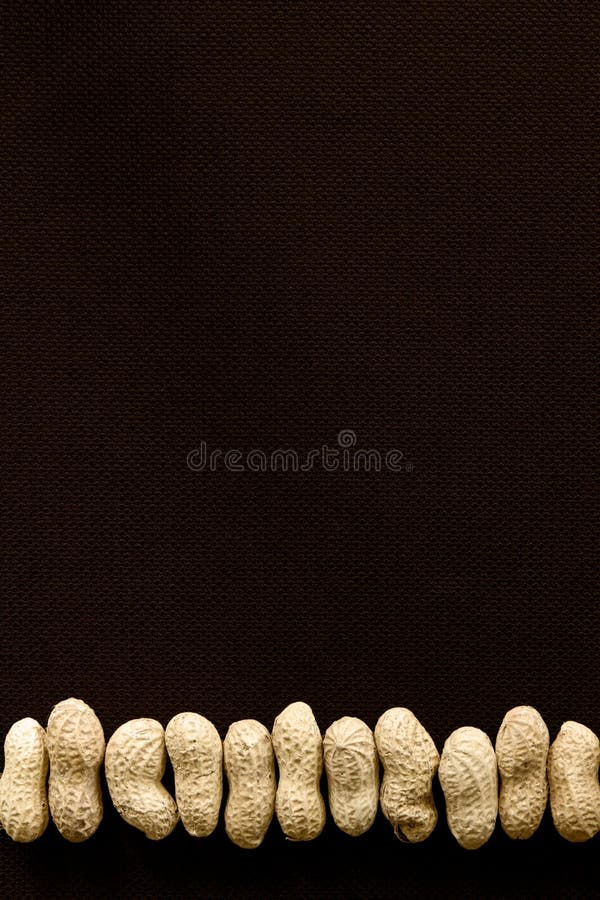 A Row of Unique Peanuts in the Shell on Dark Cloth Stock Photo - Image ...