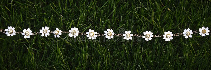 Row of White Flowers Connected by Gold Chain on Green Grass Stock ...