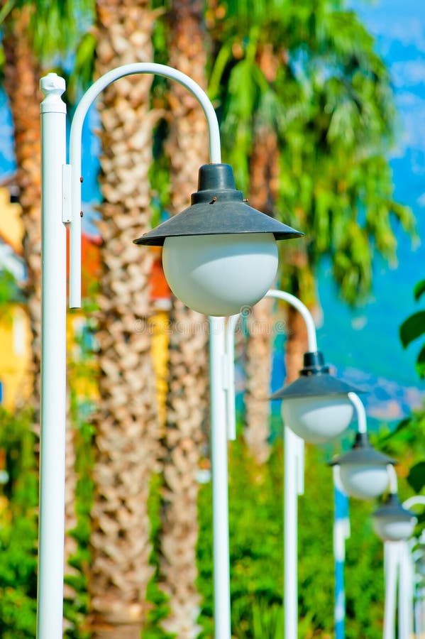 Row of White Streetlights and Palm Trees Stock Image - Image of street ...