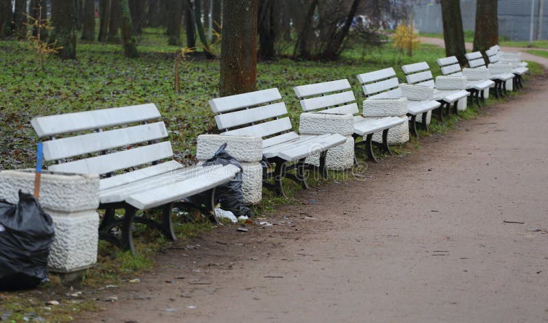 Row of White Wooden Benches Along the Park Path Stock Image - Image of ...