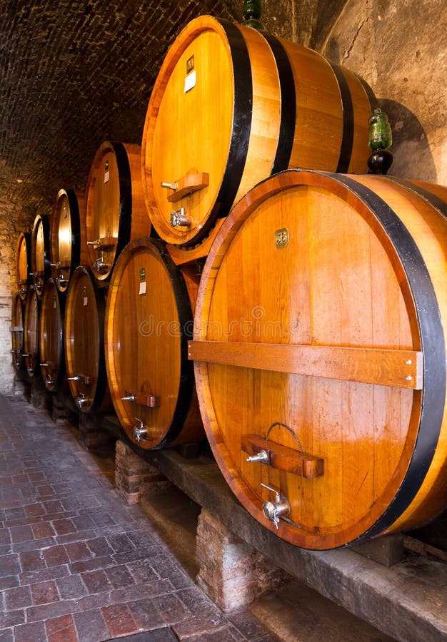 Row of wine barrels stock image. Image of beverage, rows - 27343711