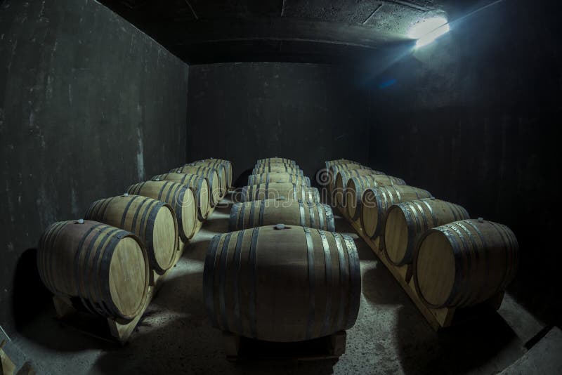 Row of Wooden Barrels in a Dark Room Stock Image - Image of winery ...