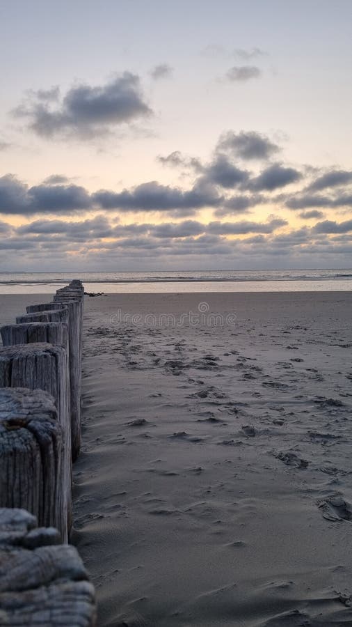 Row of Wooden Pole on Beach Sand during Low Tide Stock Photo - Image of ...