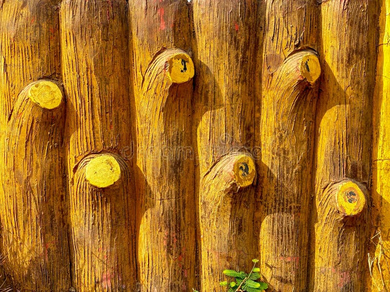 A Row of Yellow and Brown Tree Trunks with a Red Stripe Stock Photo ...
