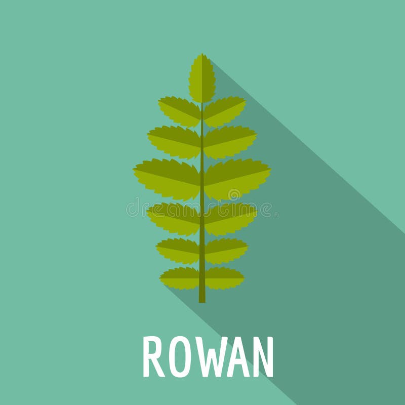 Rowan Leaf Icon, Flat Style Stock Illustration - Illustration of green ...