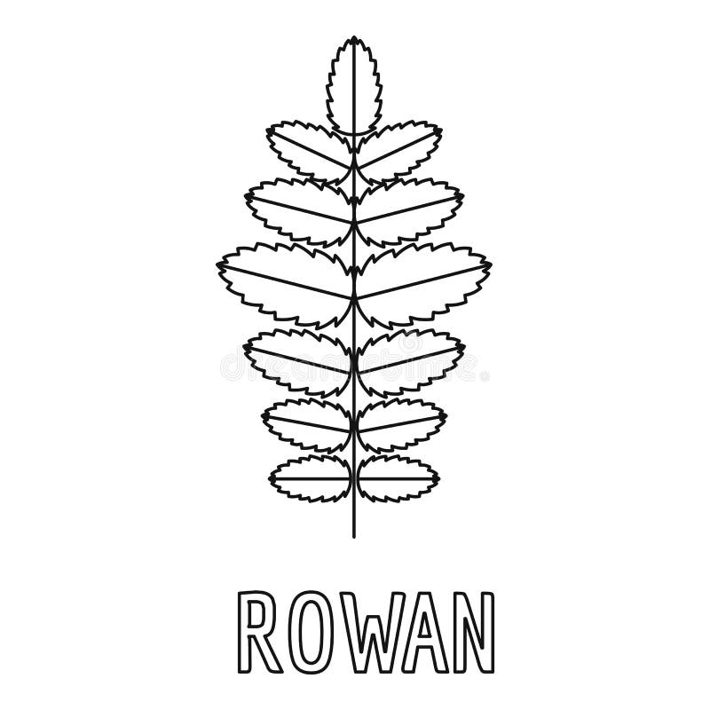Rowan Leaf Icon, Outline Style. Stock Vector - Illustration of logo ...