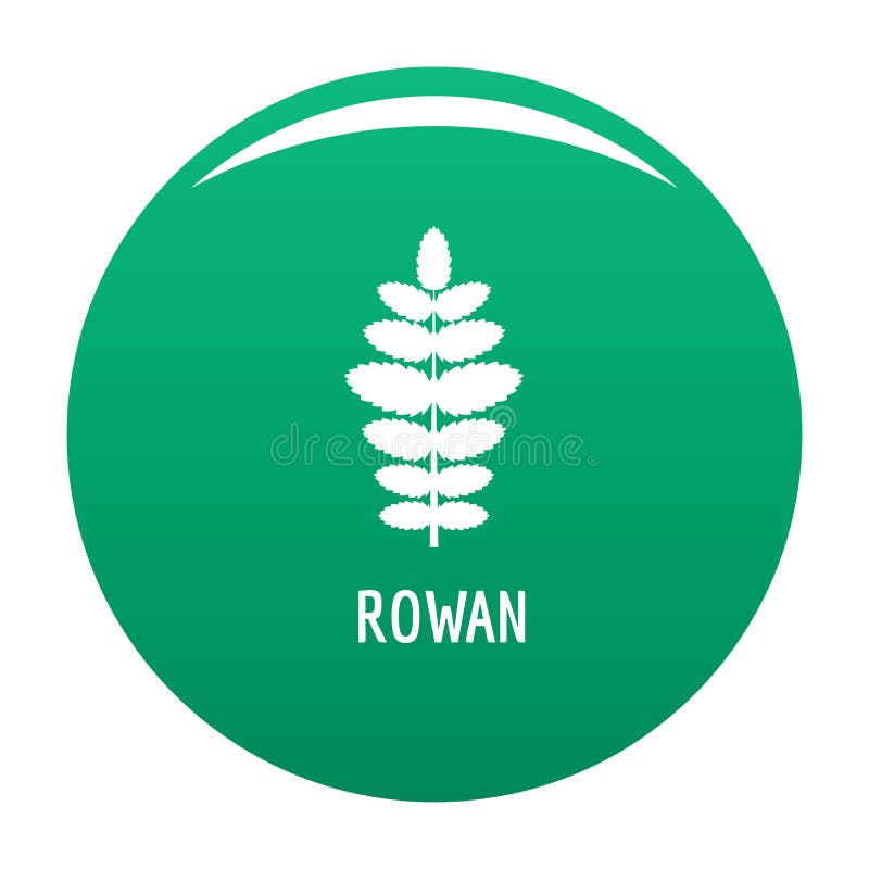 Rowan Leaf Icon Vector Green Stock Vector - Illustration of autumn ...
