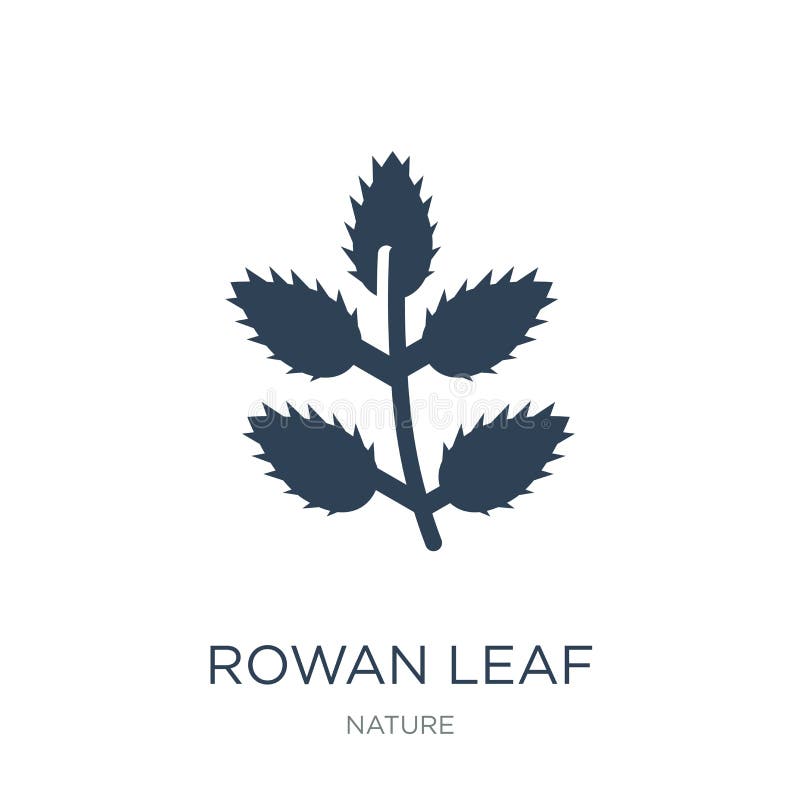Rowan Leaf Icon in Trendy Design Style. Rowan Leaf Icon Isolated on ...
