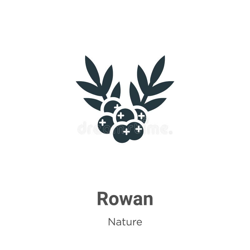 Rowan Vector Icon on White Background. Flat Vector Rowan Icon Symbol ...