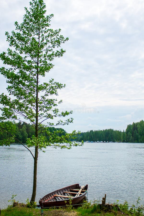 Rowboat tied to tree stock image. Image of summer, season - 44678299